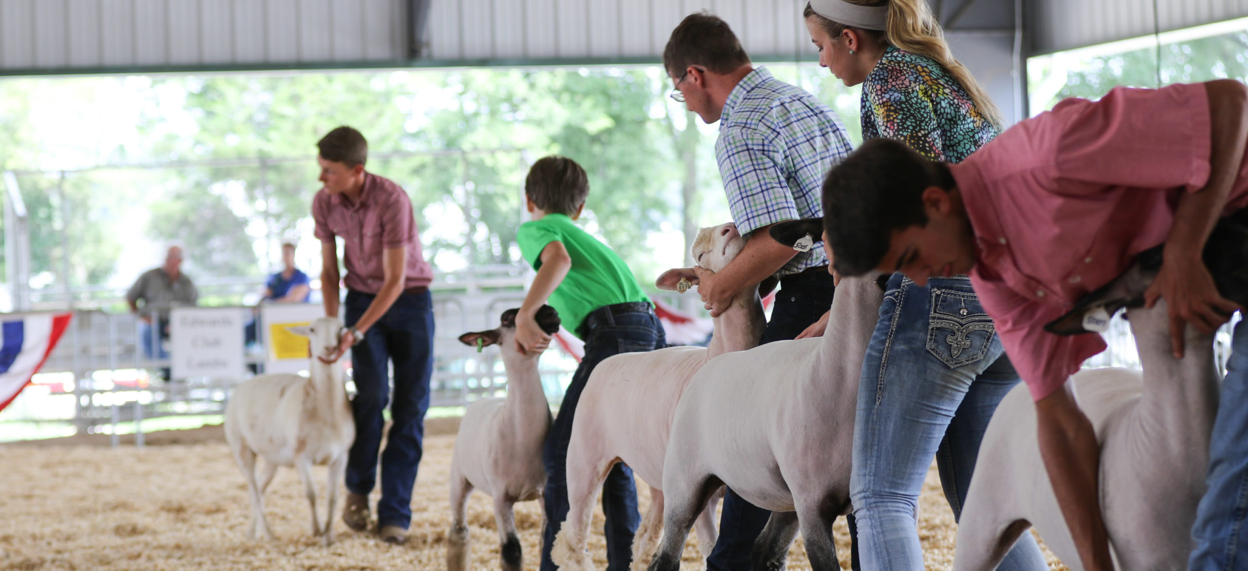 Other Opportunities | Department of Animal Science