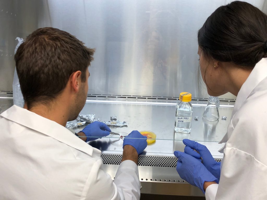 Hands-On Learning | Department of Animal Science