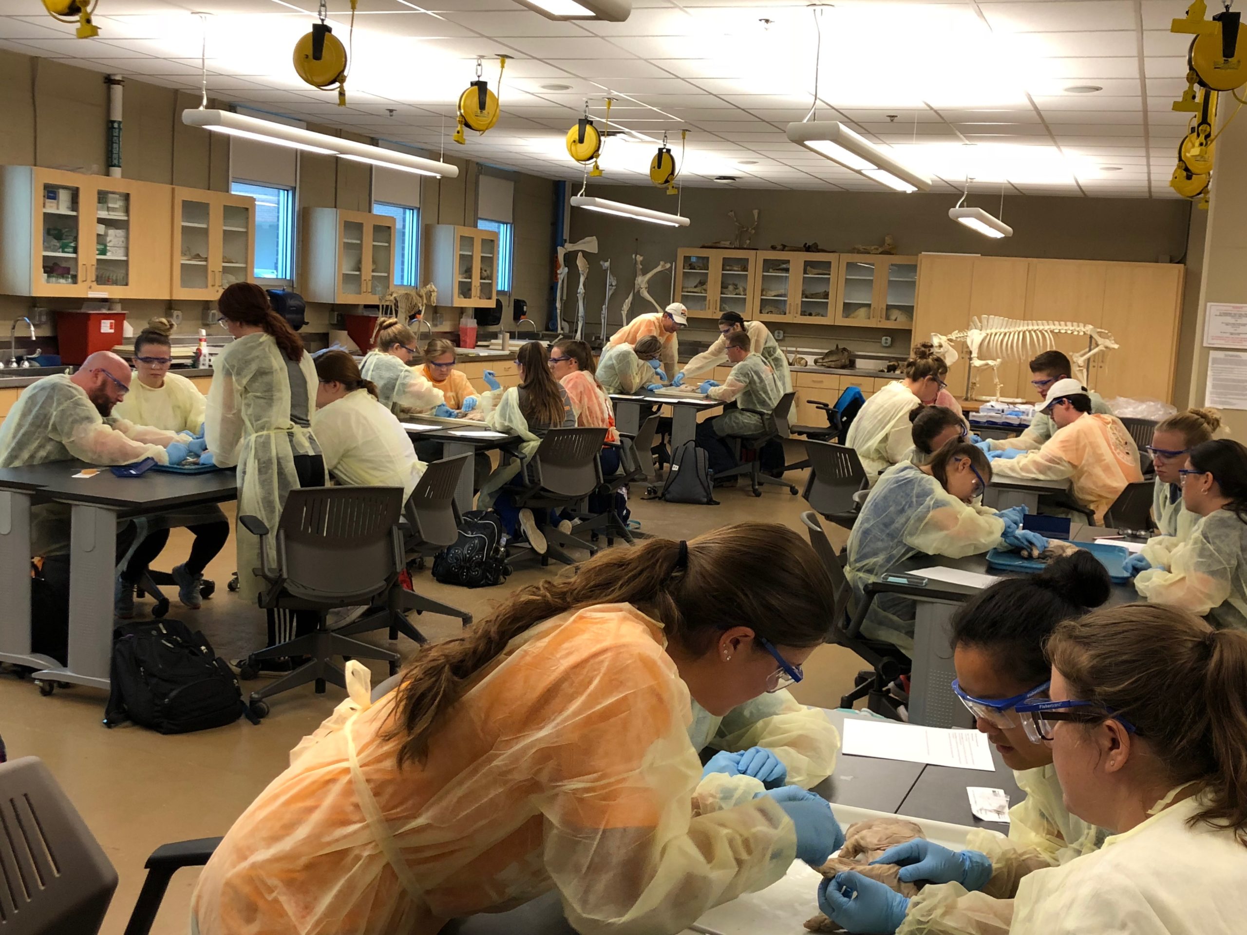 Degree Options | Department of Animal Science