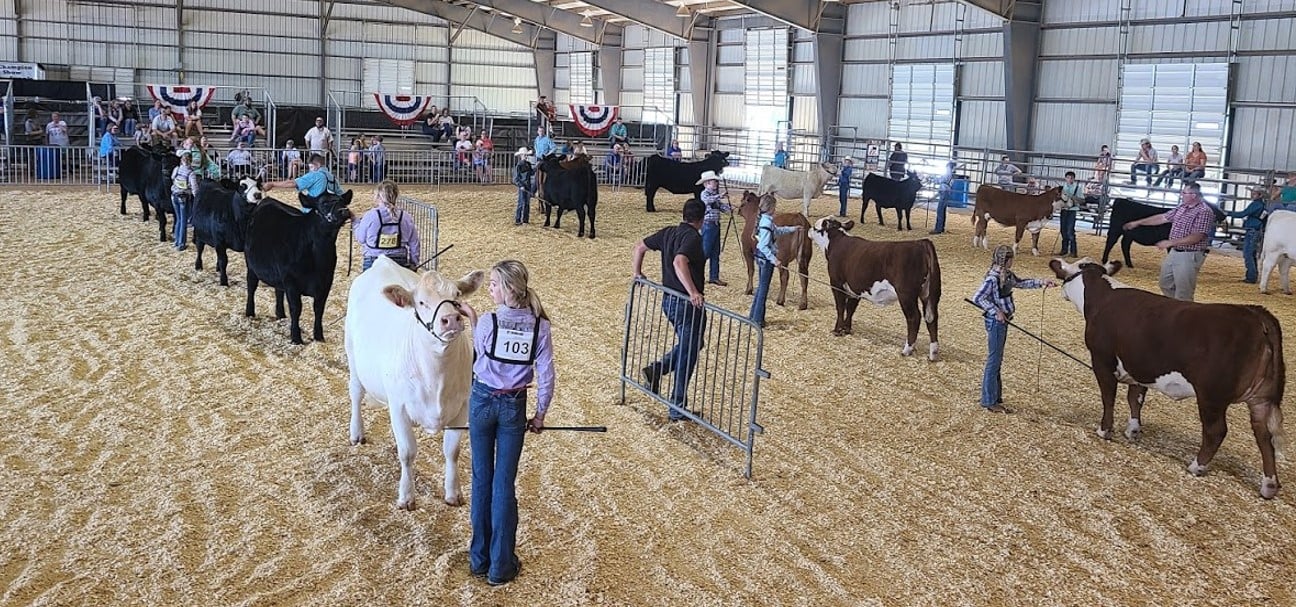 Animal Exhibitions | Department of Animal Science