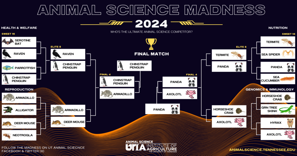 Vote Now - Animal Science March Madness | Department of Animal Science
